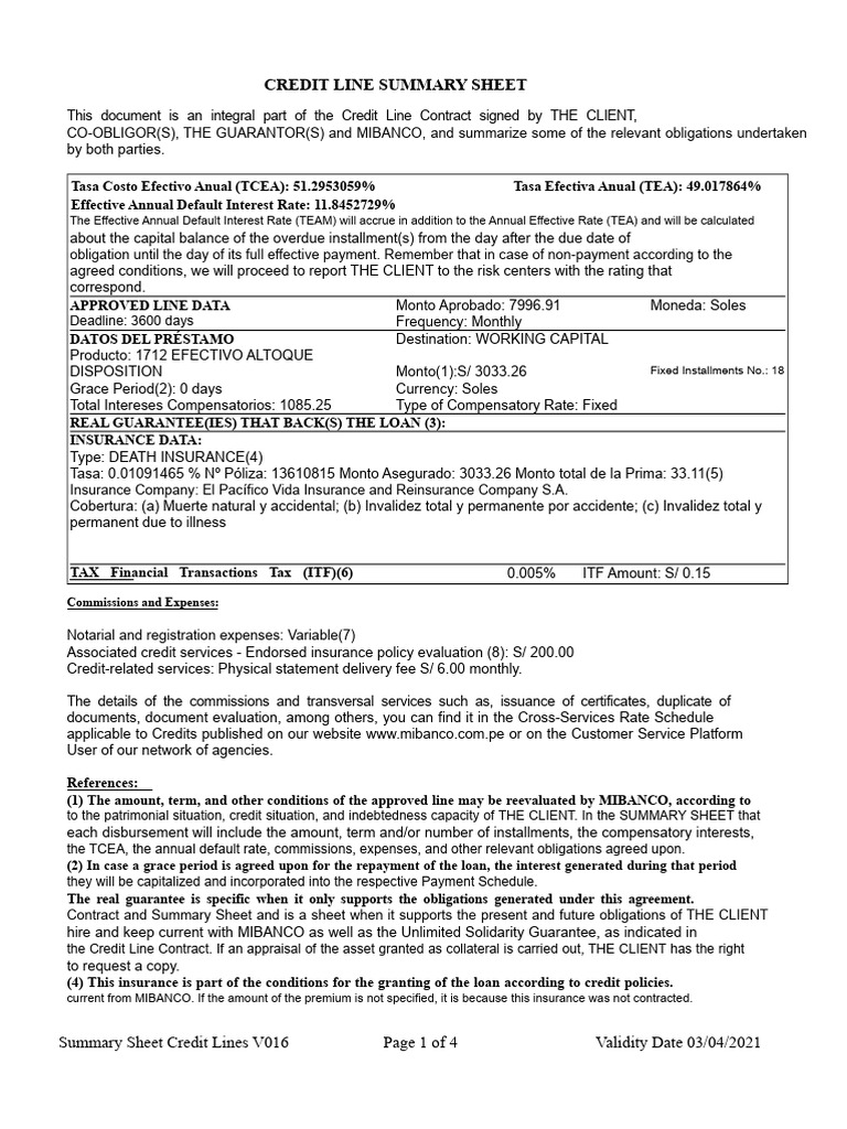 Credit Line Summary Sheet | PDF | Insurance | Finance & Money Management