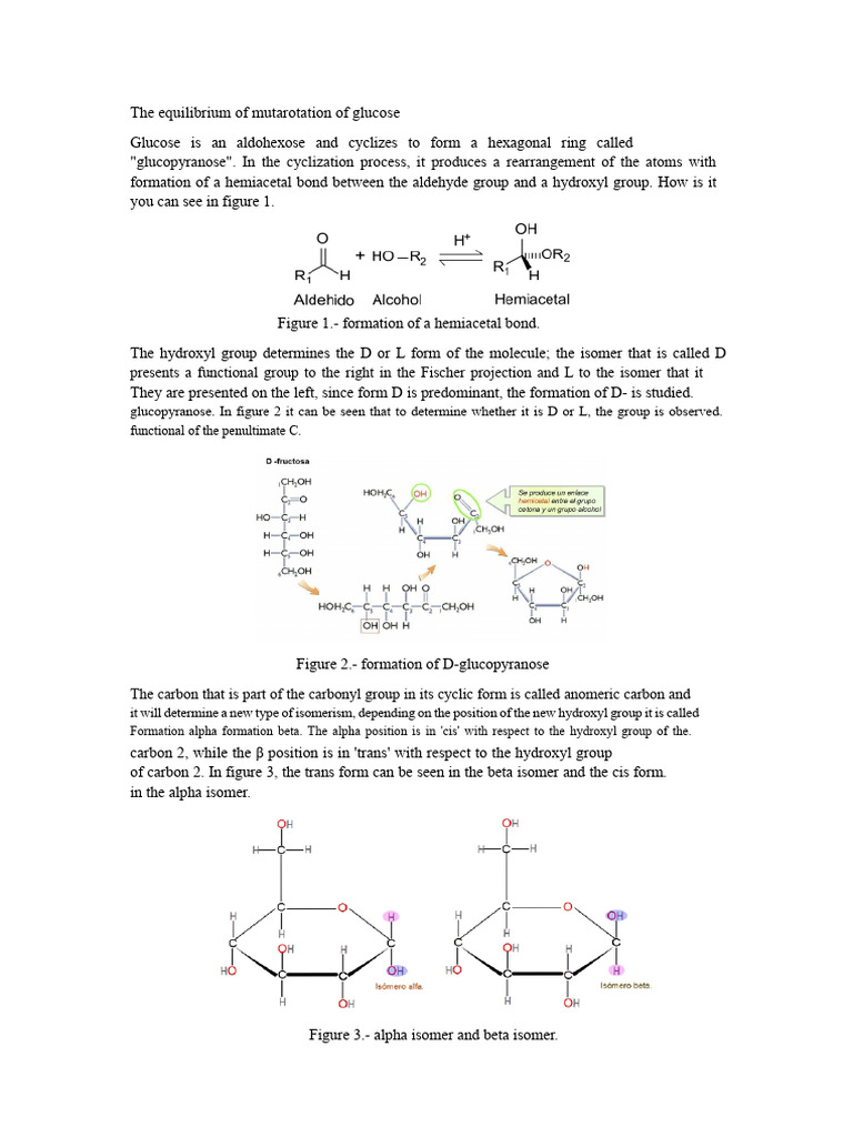 mutarotation | PDF | Glucose | Fructose