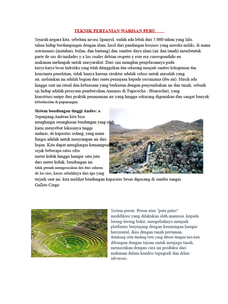 Teknik Pertanian Kuno Peru | PDF
