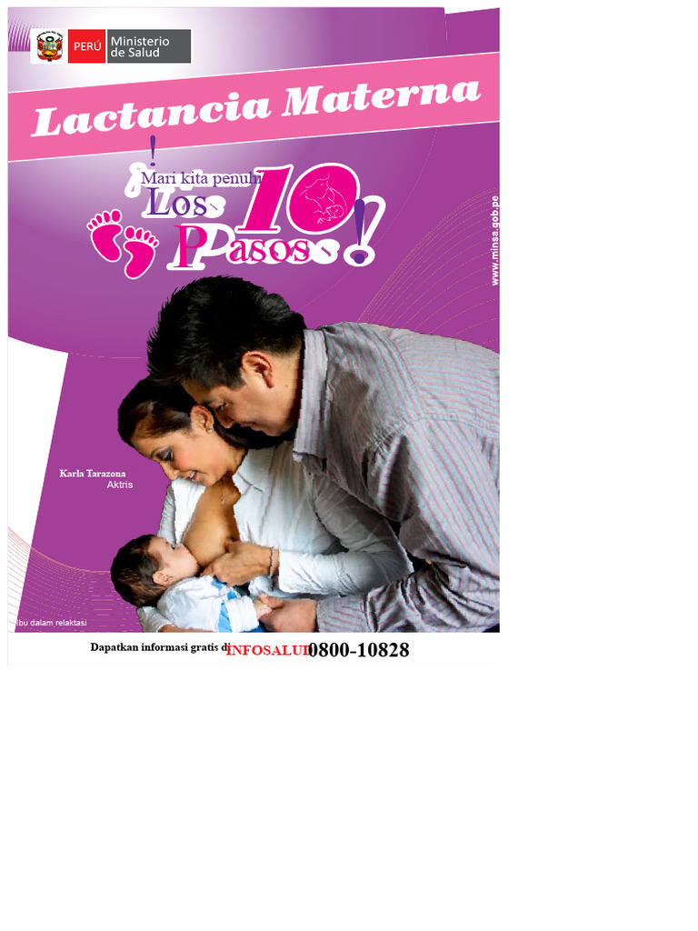 10 Langkah Menyusui ASI Minsa | PDF