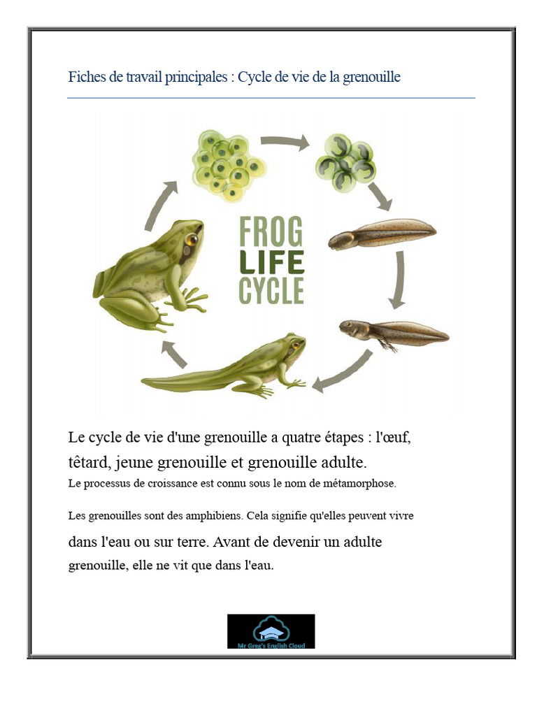 Cycle de vie de la grenouille | PDF | Amphibiens | Vertébrés aquatiques