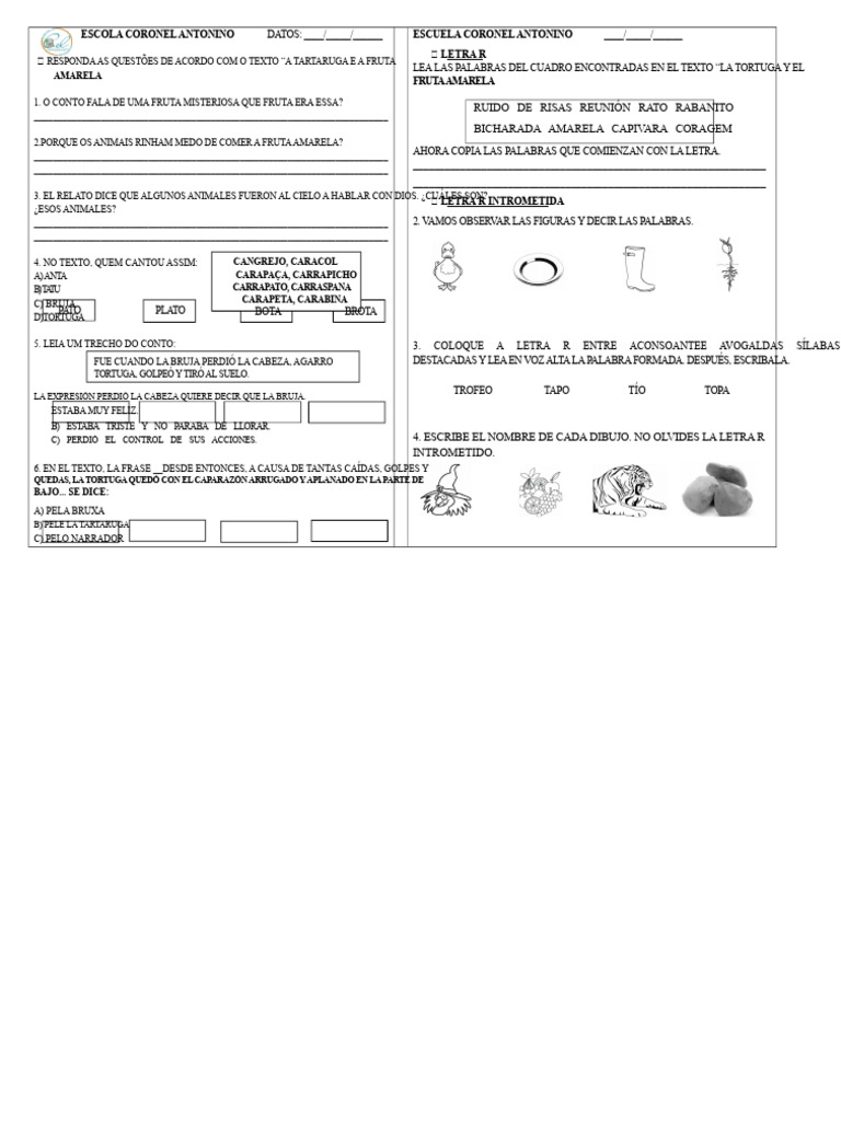 Interpretación de La Tortuga y La Fruta Amarilla | PDF