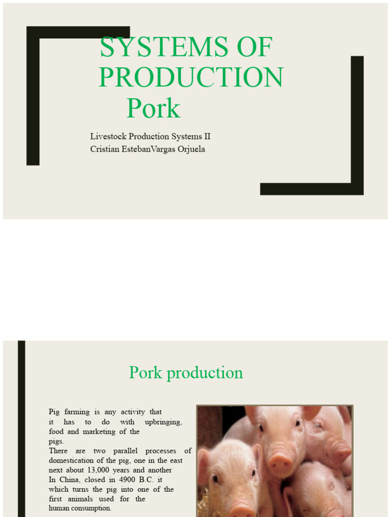 Pig Production Systems | PDF | Pig | Meat