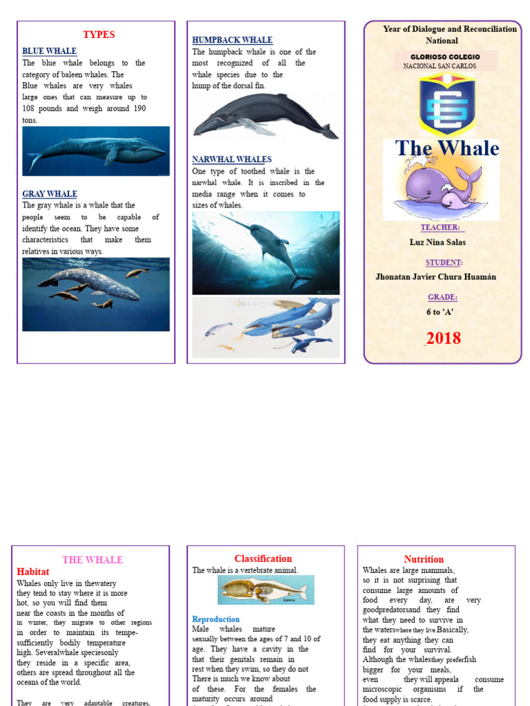 Triptych The Whale Pdf Whales Water