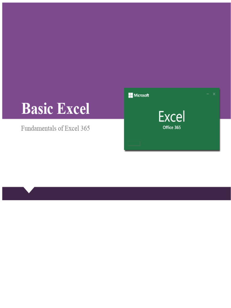 Excel 365 Basics: Functions & Formatting | PDF | Microsoft Excel ...