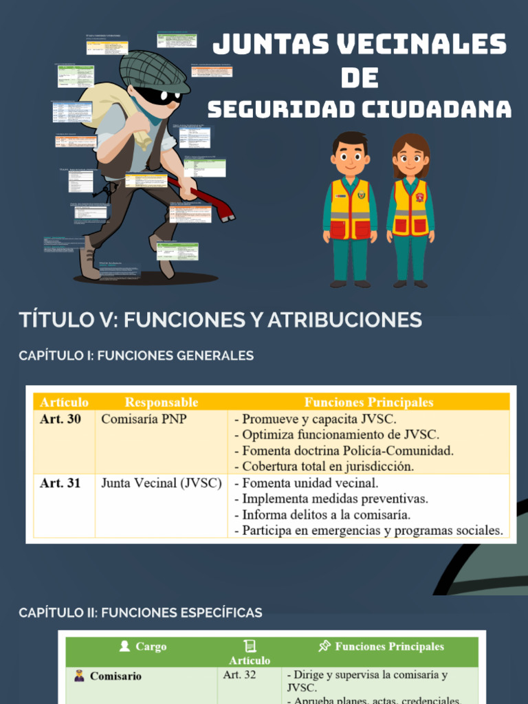 Juntas Vecinales 2 | PDF