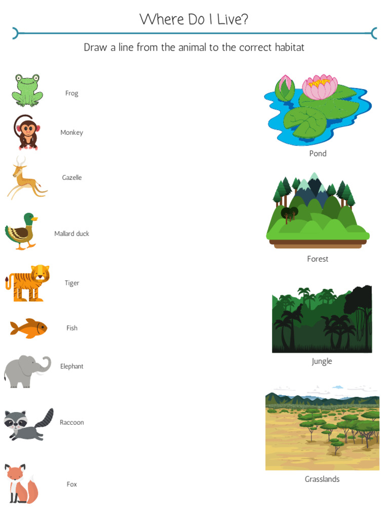 Where Do Animals Live Worksheet | PDF