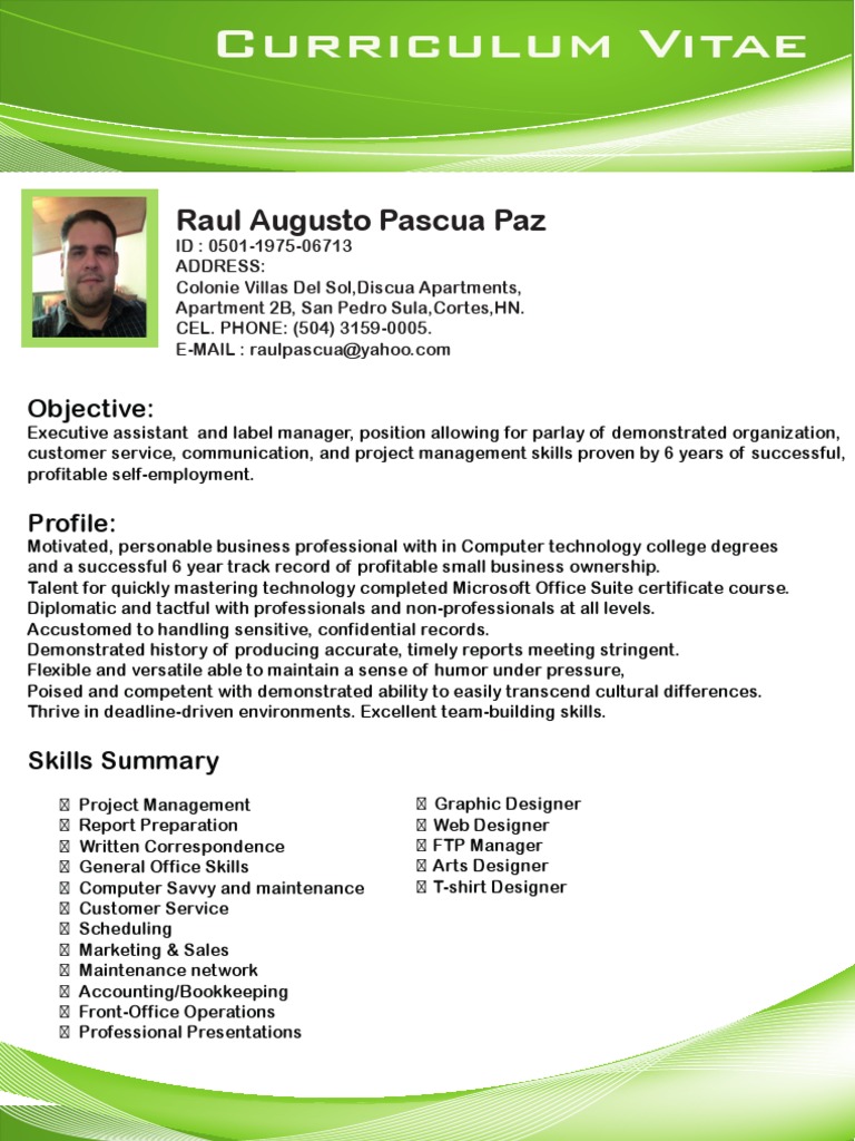 Curriculum Vitae Raul | PDF | Project Management | Computing