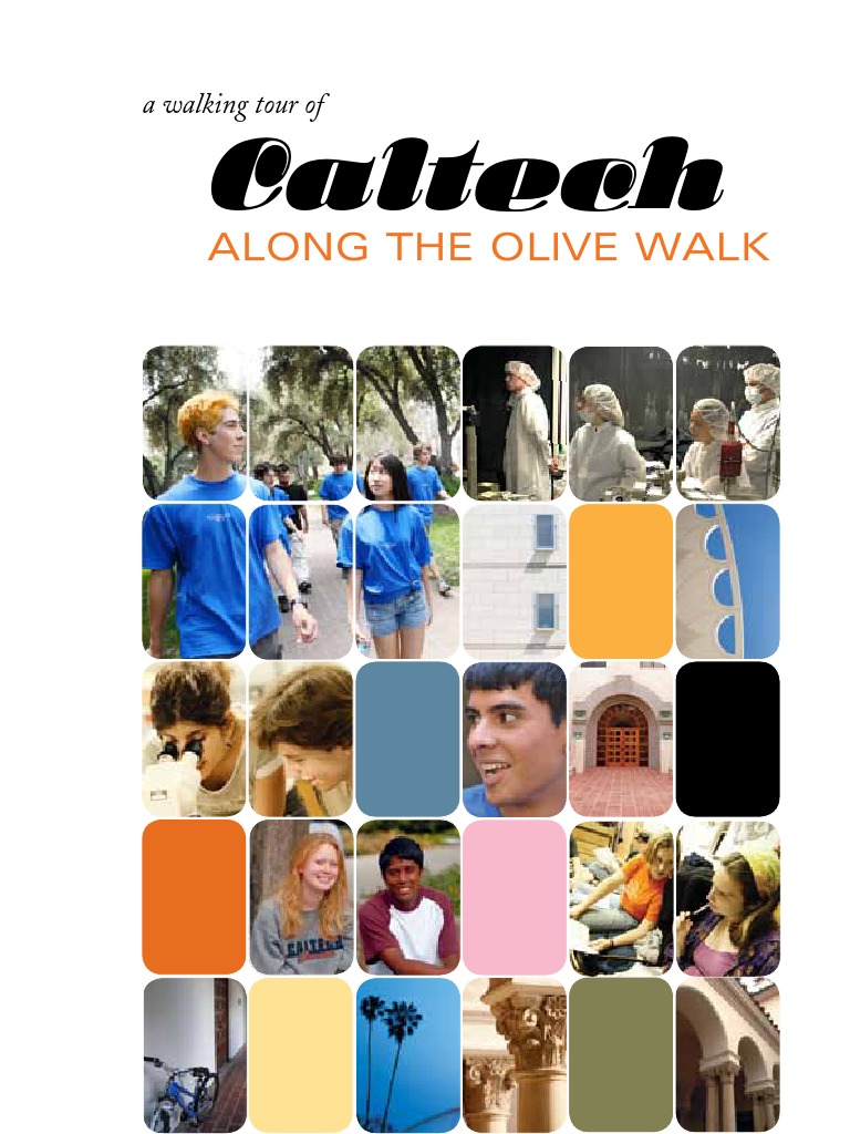 Caltech: Along The Olive Walk | PDF | California Institute Of ...