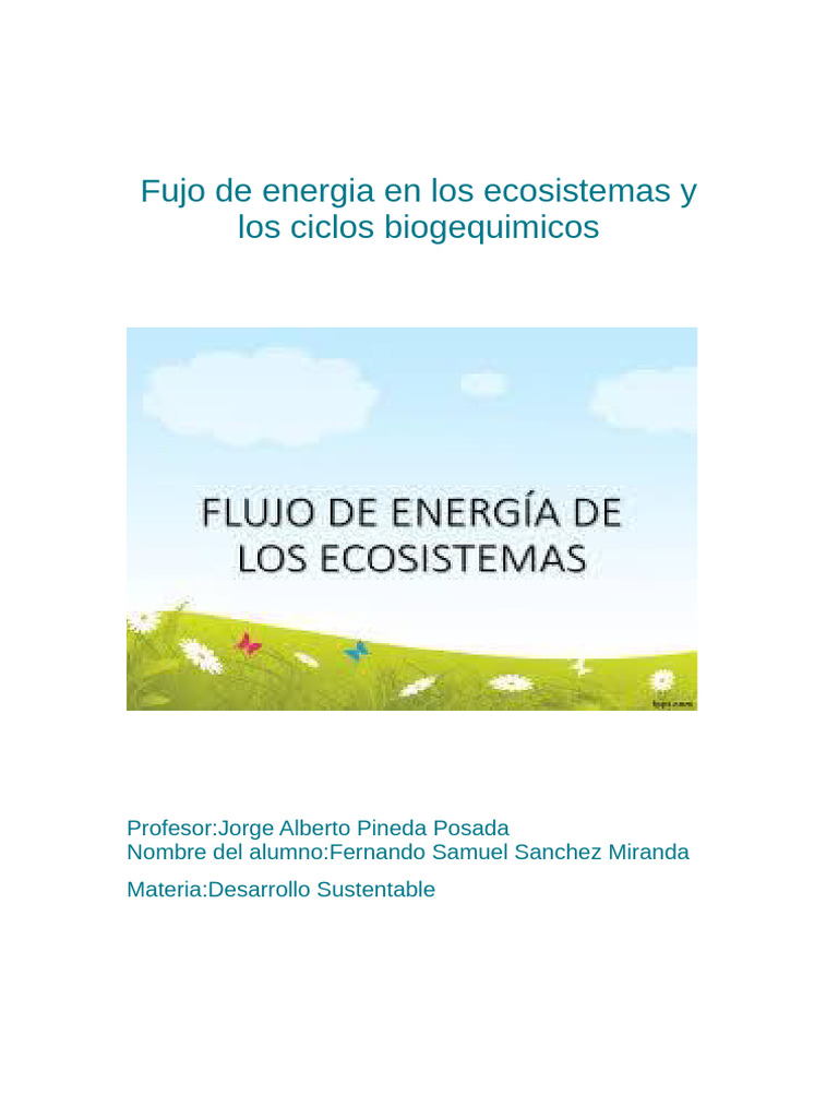 Fujo de Energia en Los Ecosistemas y Los Ciclos Biogequimico1 | PDF ...