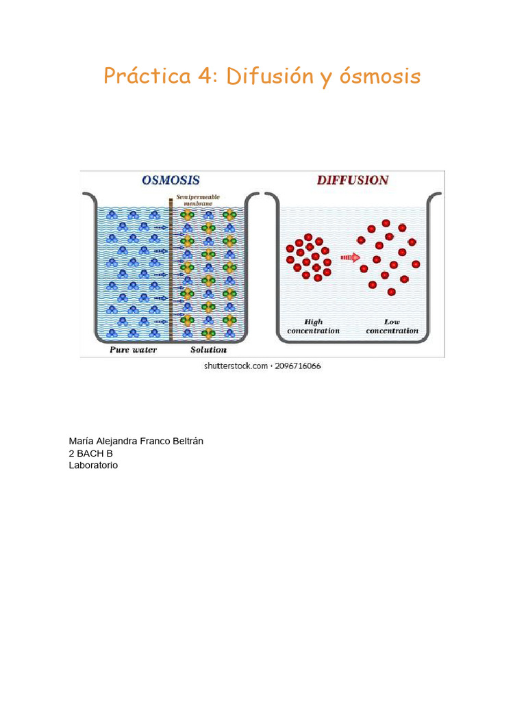Práctica 4. Difusión y Ósmosis - 1 | PDF | Ósmosis | Concentración