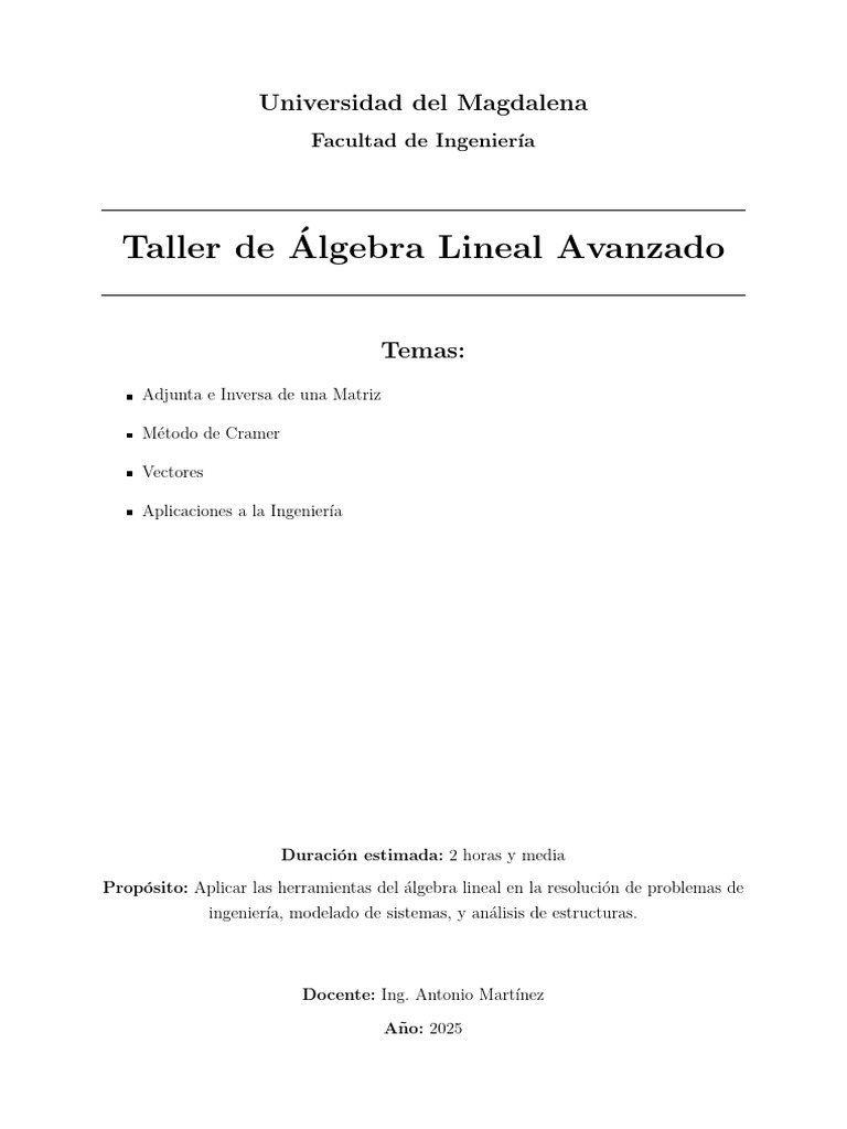 Taller Álgebra | PDF | Álgebra lineal | Vector Euclidiano