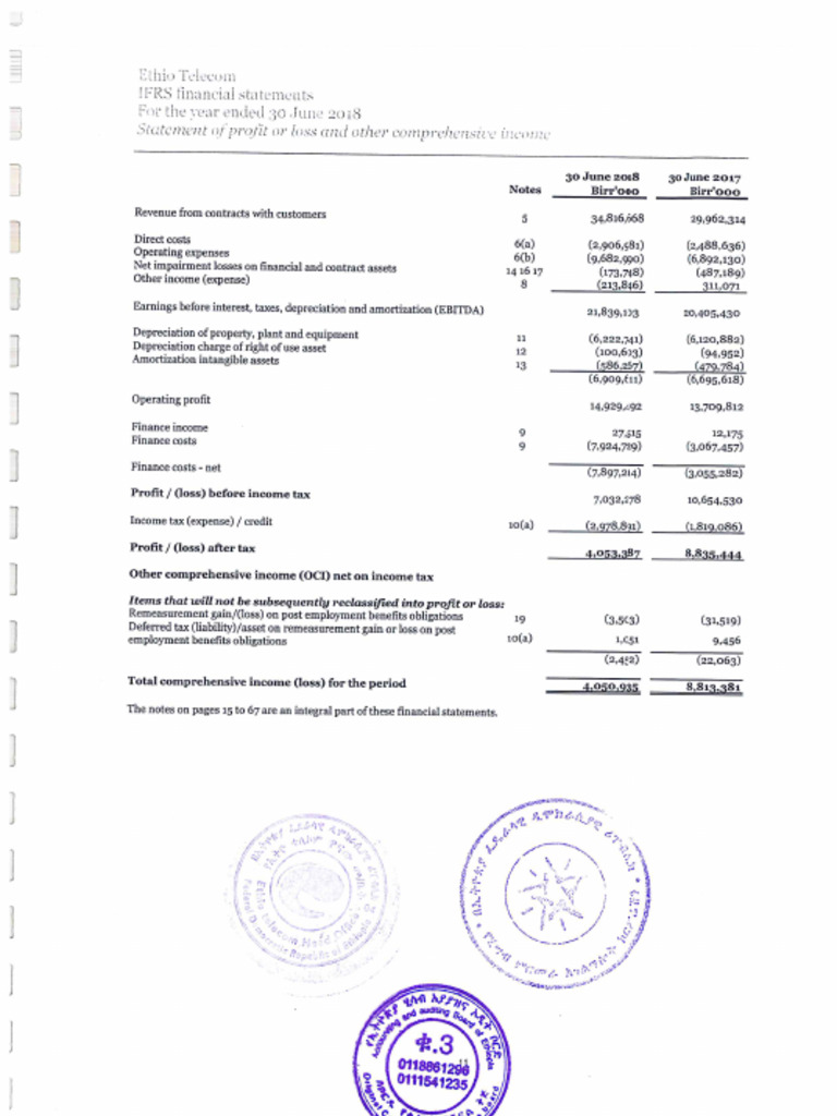 2018 Audited Financial Statement Report | PDF