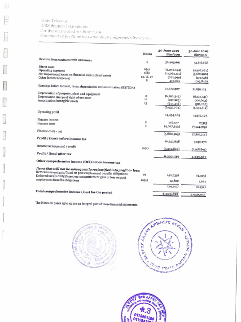 2019 Audited Financial Statement Report | PDF