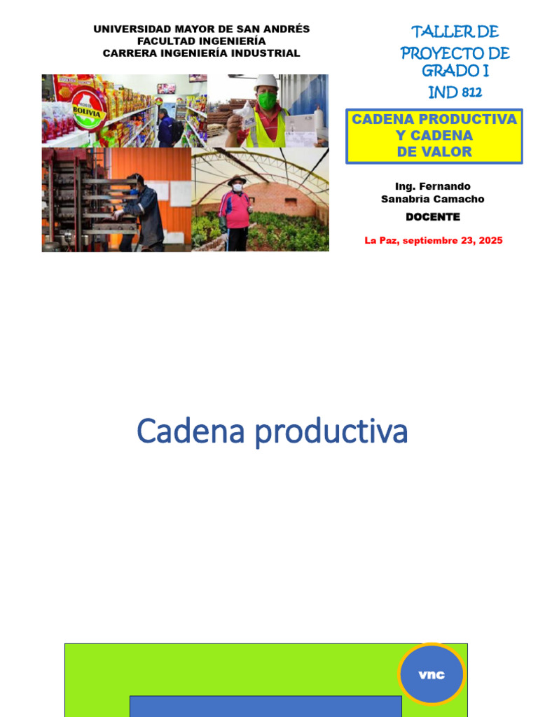 Cadenas Productiva y de Valor | PDF