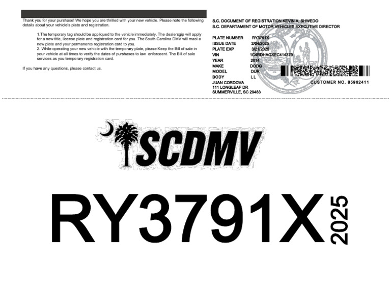 SC DMV Temporary Tag Instructions | PDF