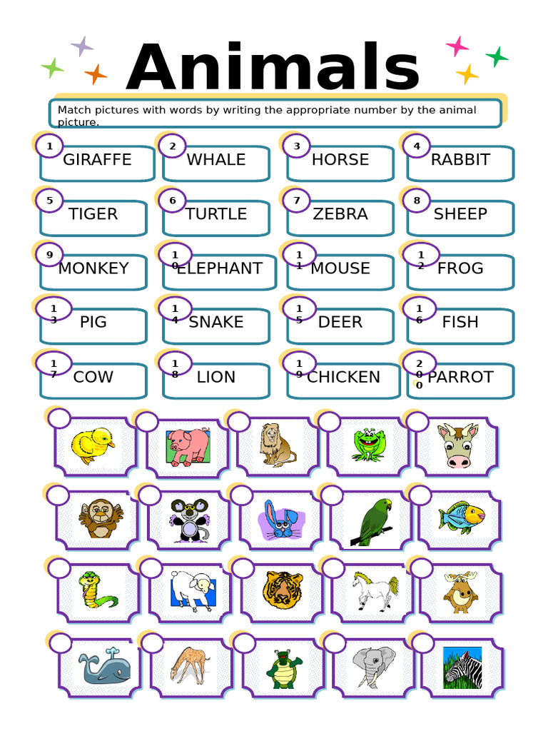 1357 Animals Match Up | PDF