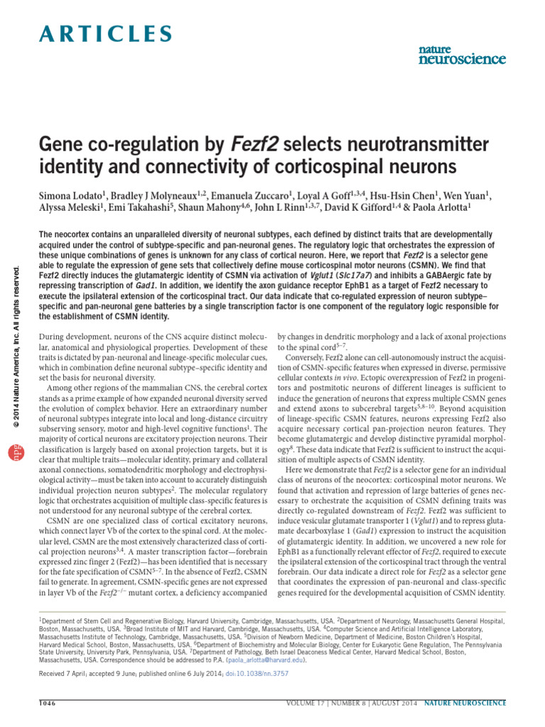 Gene Co-Regulation by Fezf2 Selects Neurotransmitter Identity and ...