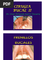 Línea Alba Oclusal | PDF | Enfermedades y trastornos | Boca