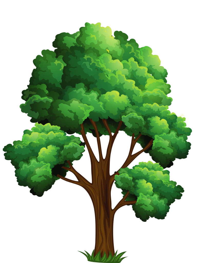 POHON 60X100 | PDF