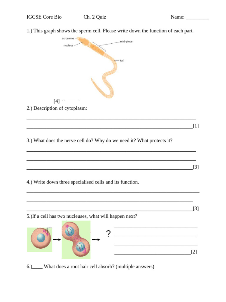 Ch. 2 Quiz | PDF