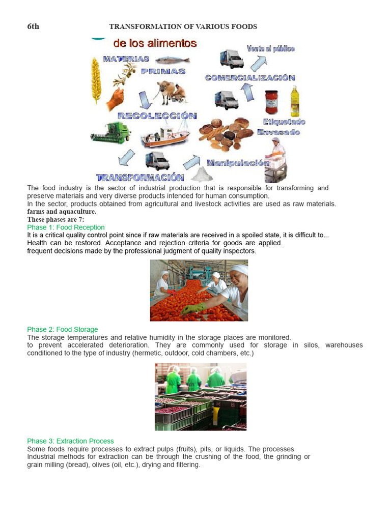 6th TRANSFORMATION OF VARIOUS FOODS ACCORDING TO CONTEXT | PDF | Food ...