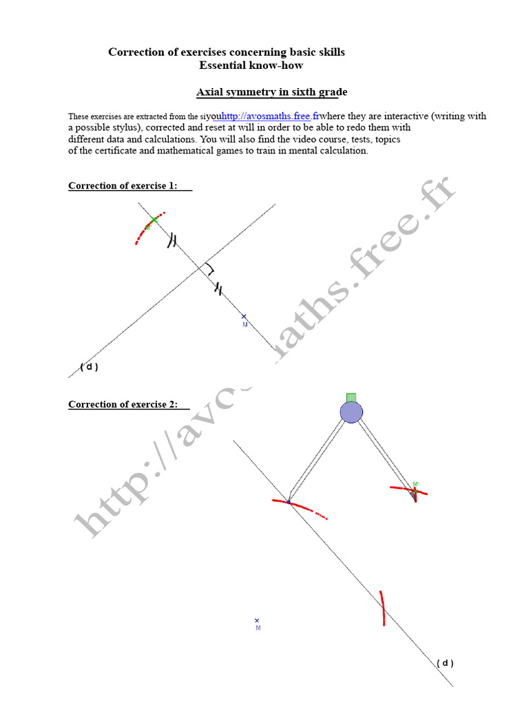 6th-grade math exercises on axial symmetry with corrected exercises. | PDF
