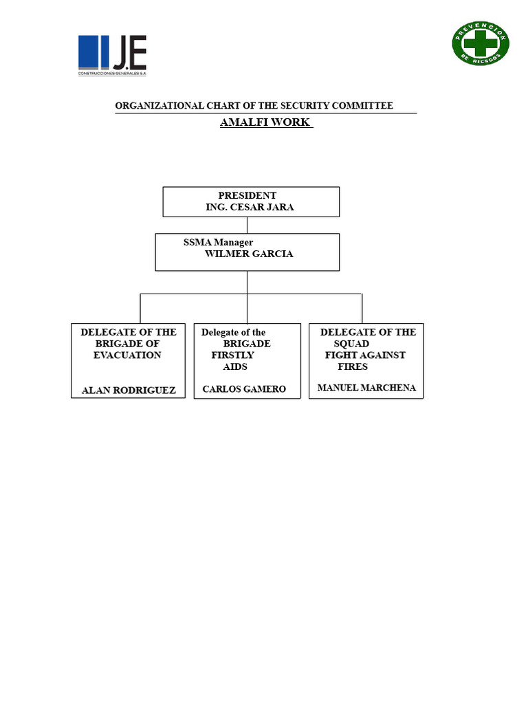 Security Committee Org Chart | PDF
