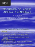 REEDA Acronym To Guide The Perineal Assessment Points Redness Edema ...