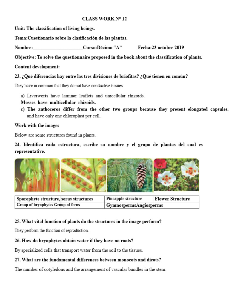 TC12 QUESTIONNAIRE PLANTS | PDF | Plants | Leaf