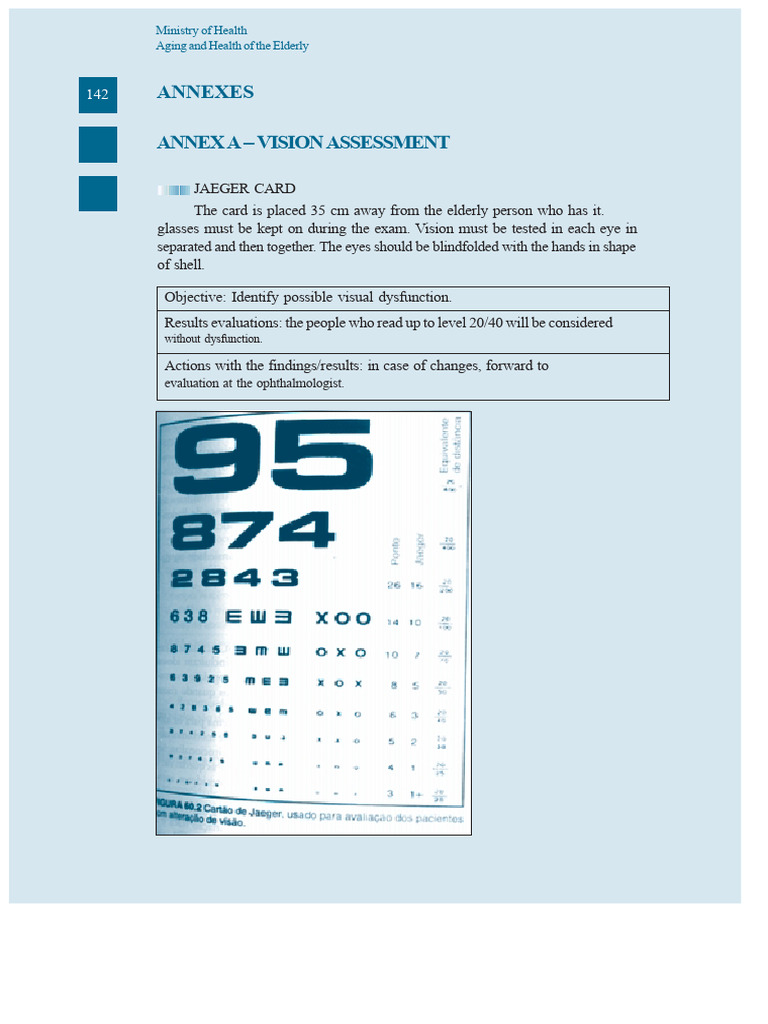 VISION ASSESSMENT | PDF