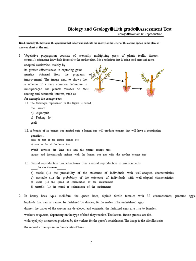 11th Grade Biology Assessment: Reproduction | PDF | Ploidy | Meiosis