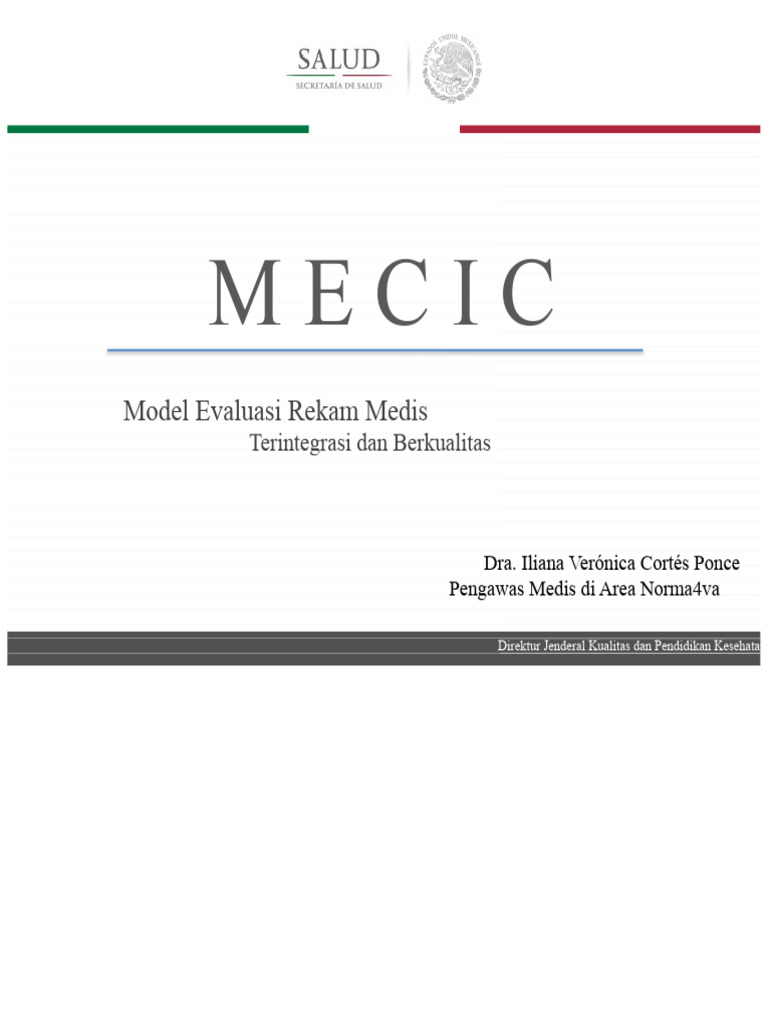 MEIC | PDF