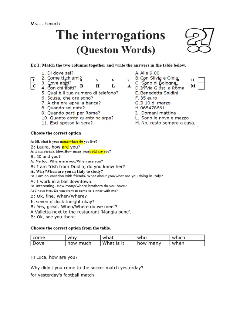 Interrogative Question Exercises | PDF