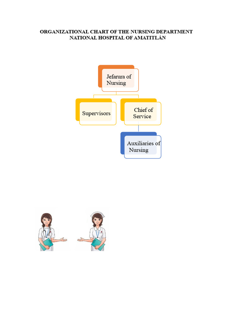 Organizational Chart of The Nursing Department of | PDF