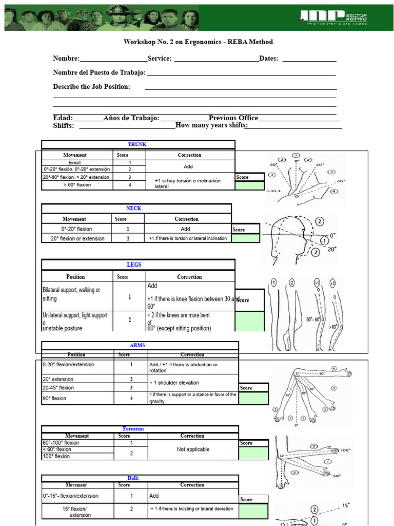 Reba Card | PDF | Anatomical Terms Of Motion | Human Body