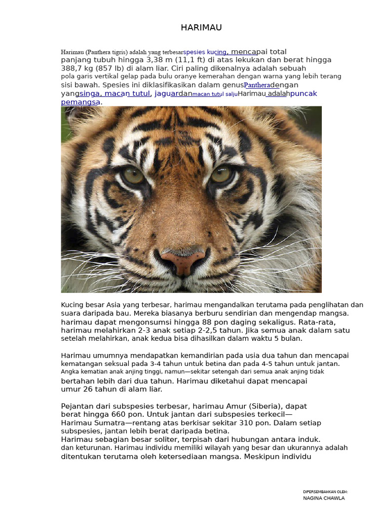 Harimau | PDF