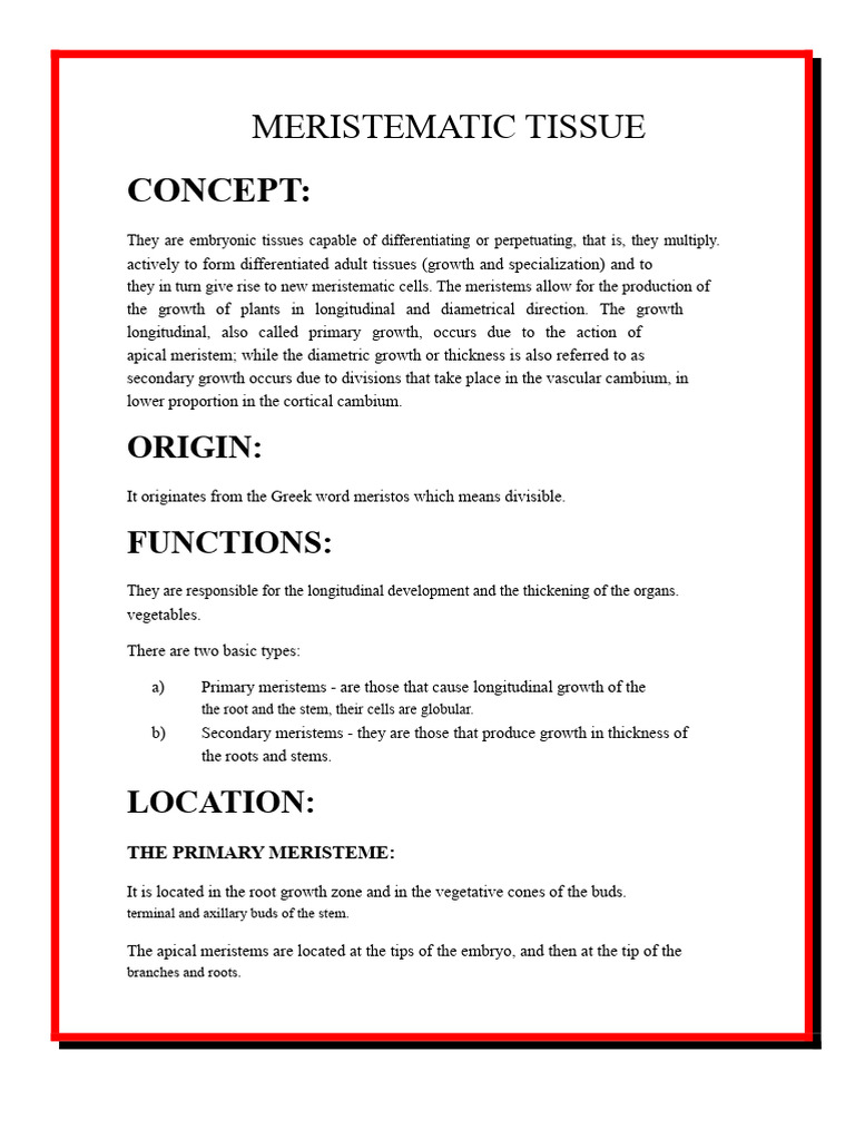 Meristematic tissues | PDF | Plant Stem | Root