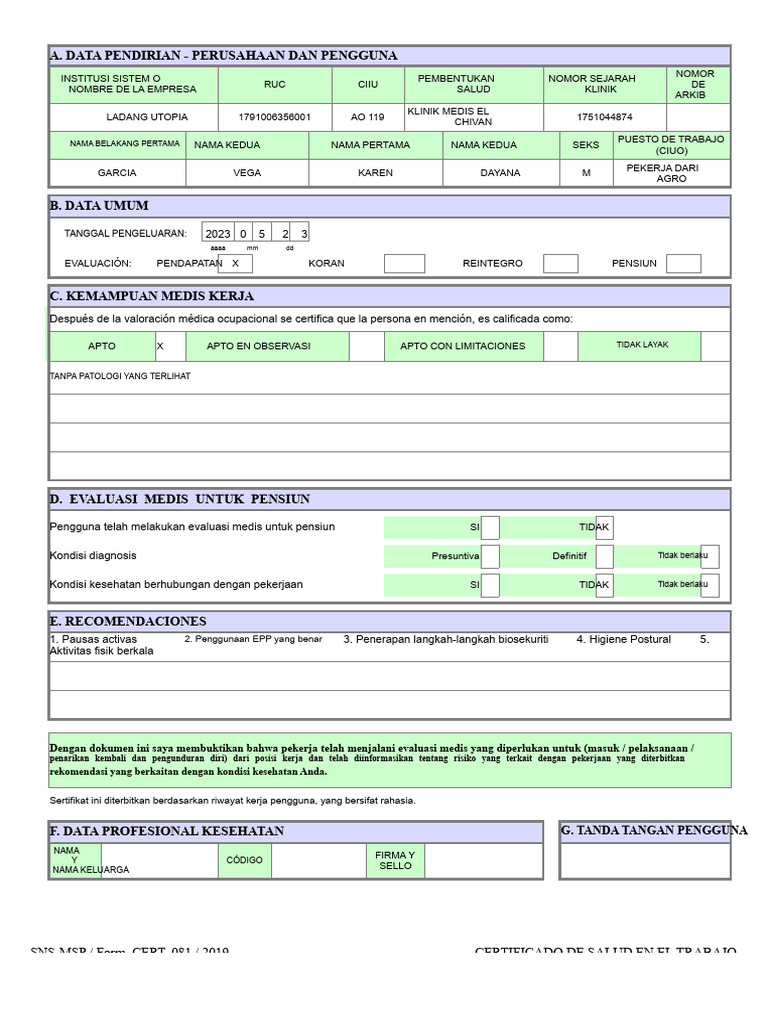 Formulir SNS-MSP FORM. HCU 081. Sertifikat Kesehatan Di Tempat Kerja | PDF