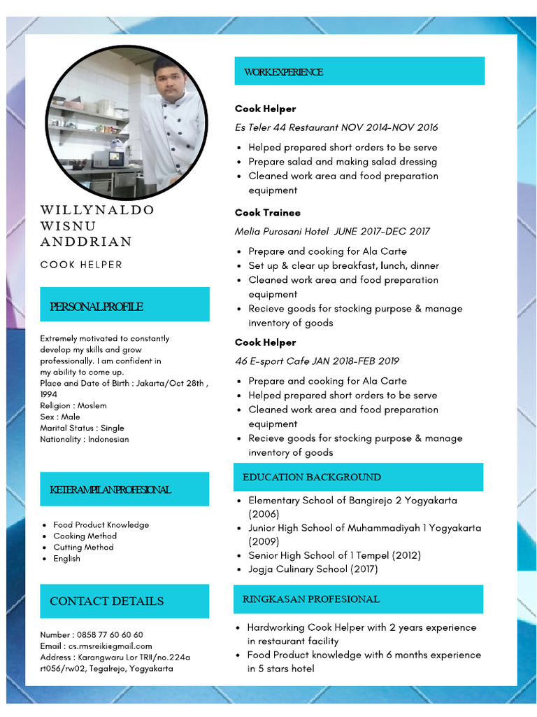 CV WILLY | PDF