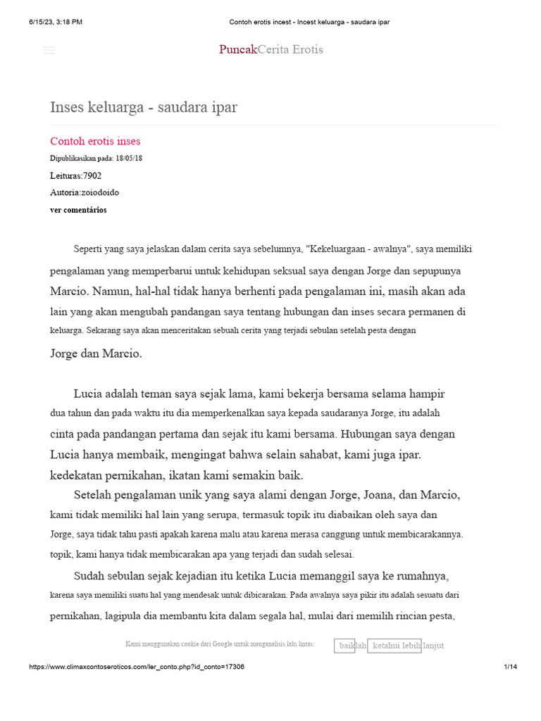 Cerita Erotis Inses Keluarga | PDF