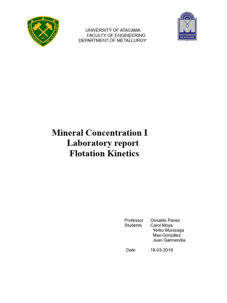 Report on Flotation Kinetics.docx | PDF | Chemical Kinetics | Chemistry