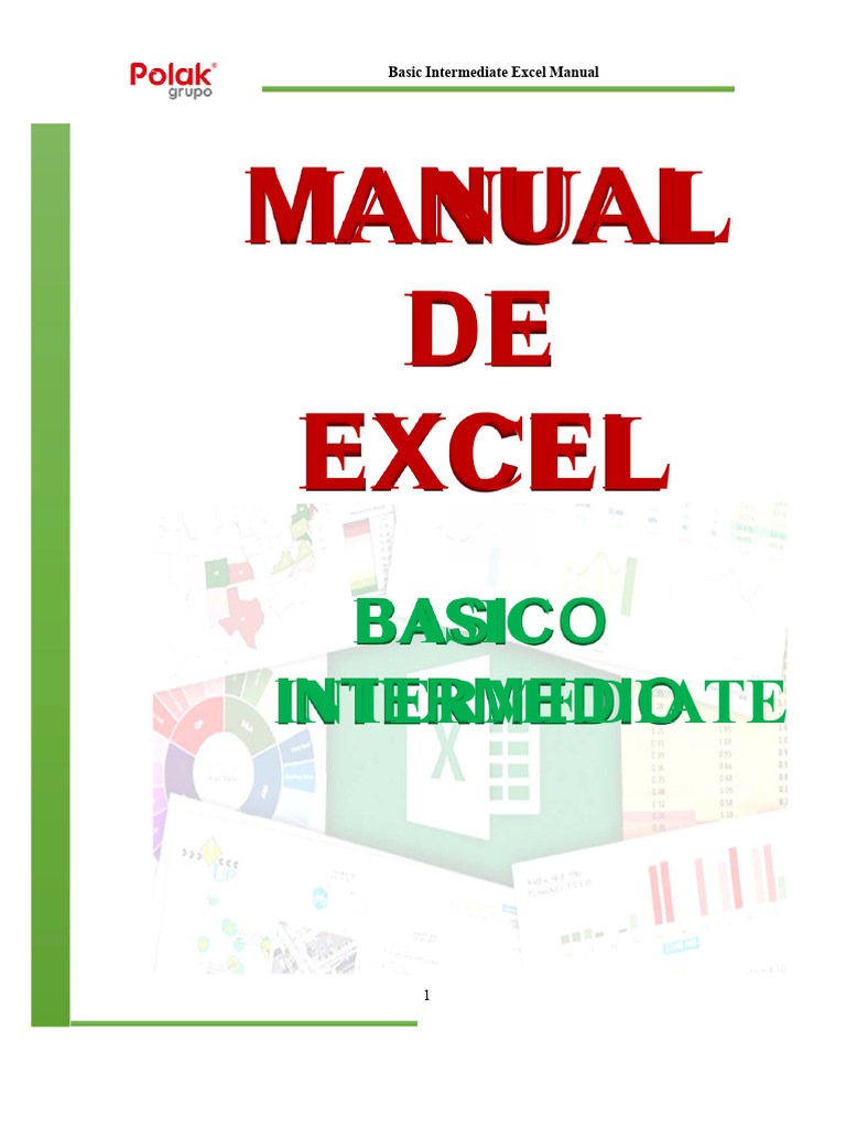 2.Basic-Intermediate Excel Manual | PDF | Microsoft Excel | Spreadsheet