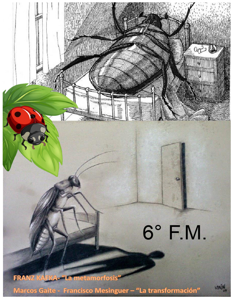 Gregor Samsa's Transformation Explained | PDF | The Metamorphosis