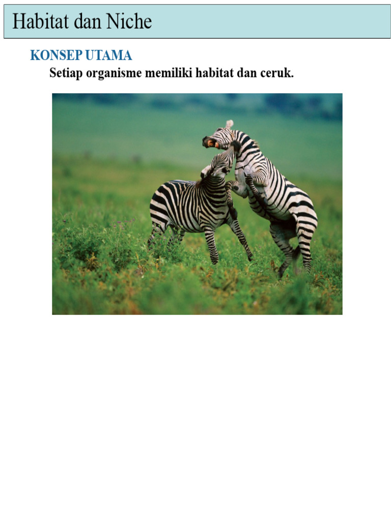 Interaksi Spesies Niche Ekologis Dan Suksesi | PDF
