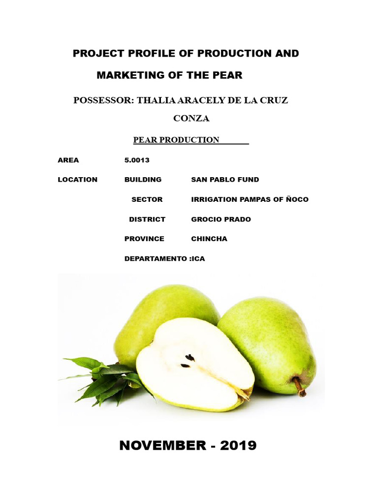 Pear Project | PDF | Grafting | Plant Nutrition