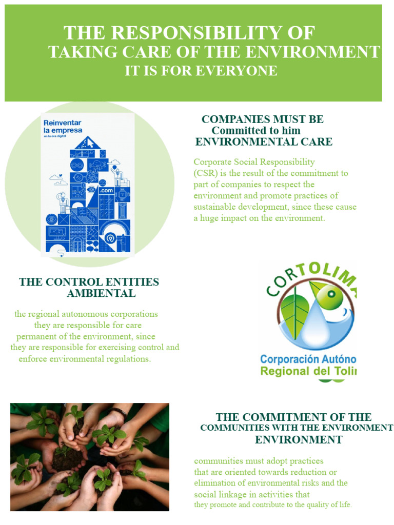 Environmental Infographic | PDF