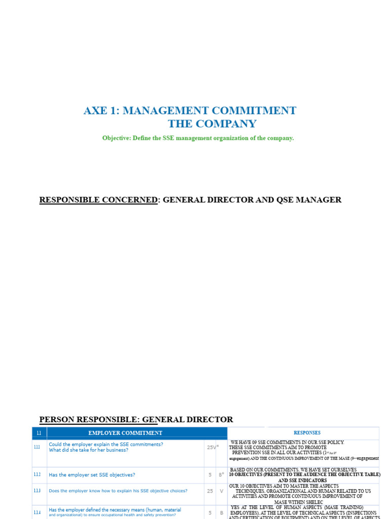 Responses To Mase Questionnaires | PDF | Employment | Risk Management