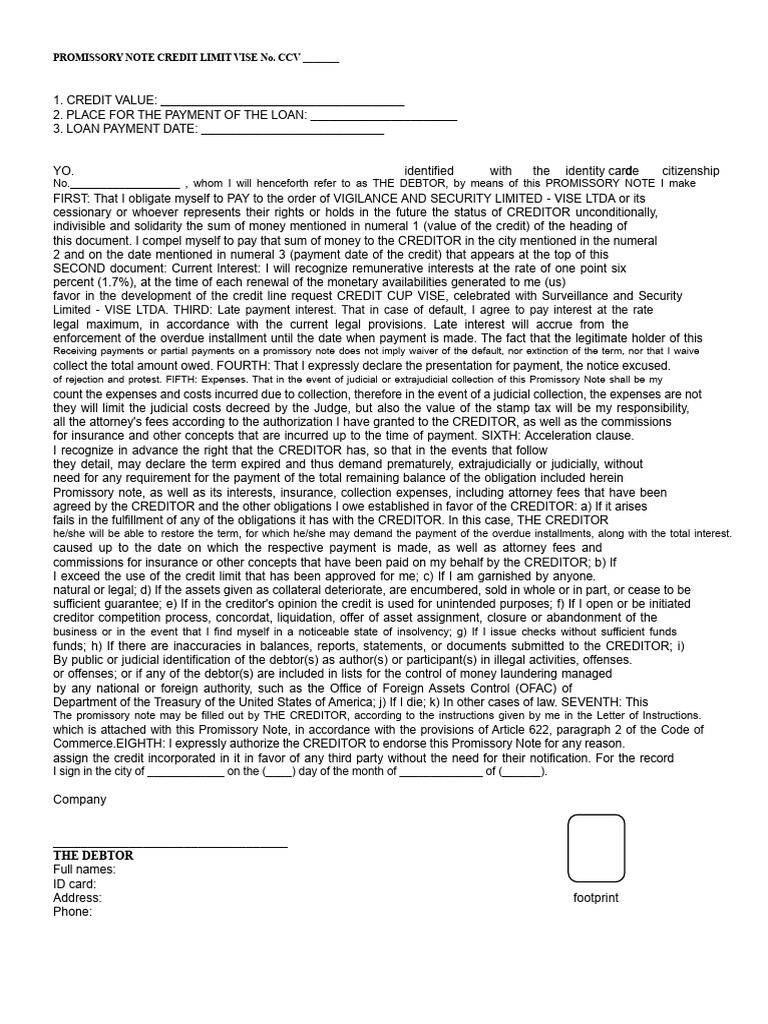 Promissory Note Credit Limit Vise and Letter of Instructions PDF | PDF ...