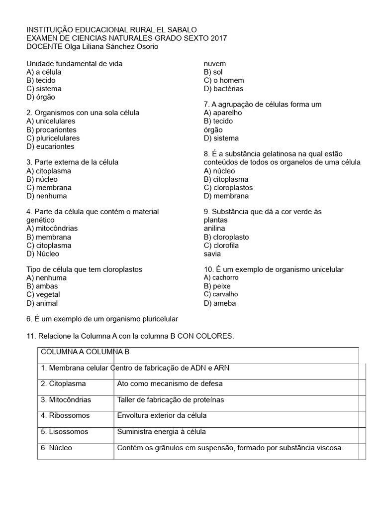 Exame Final de Período Do Sexto Ano | PDF | Célula (Biologia) | Mitose